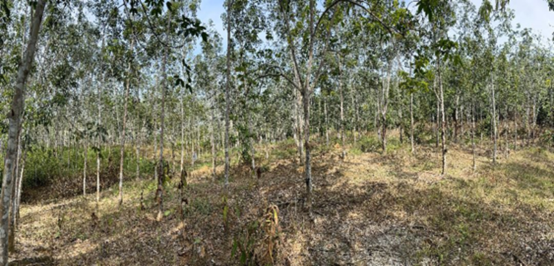 AssetsLink - SME Bank Asset and Property Listings - Contiguous Parcels ...